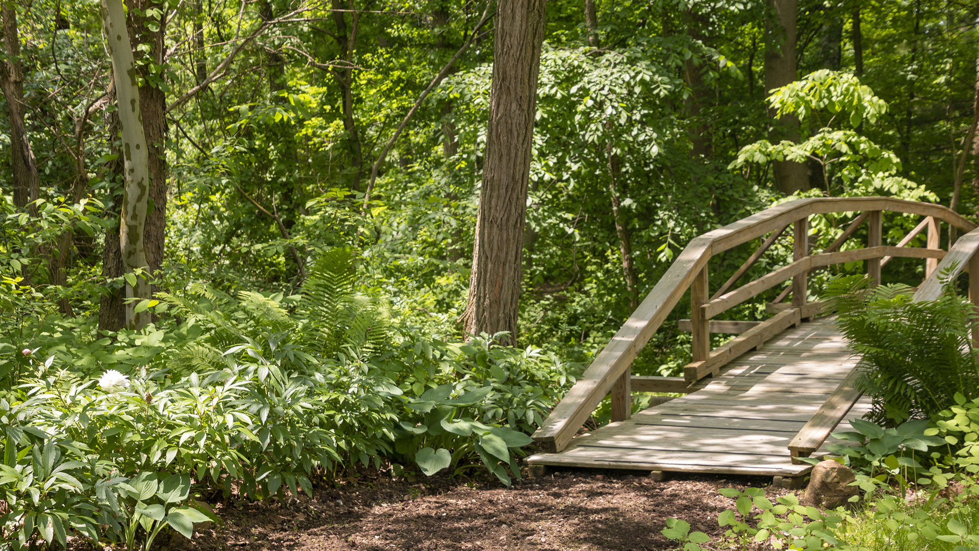 Letter from Jason – May 2022 - The Inn At Honey Run