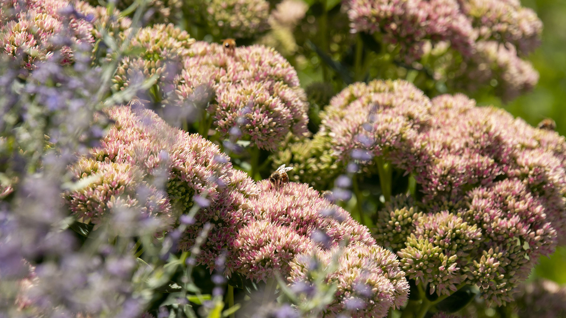 Letter from Jason - September 2023 - The Inn At Honey Run