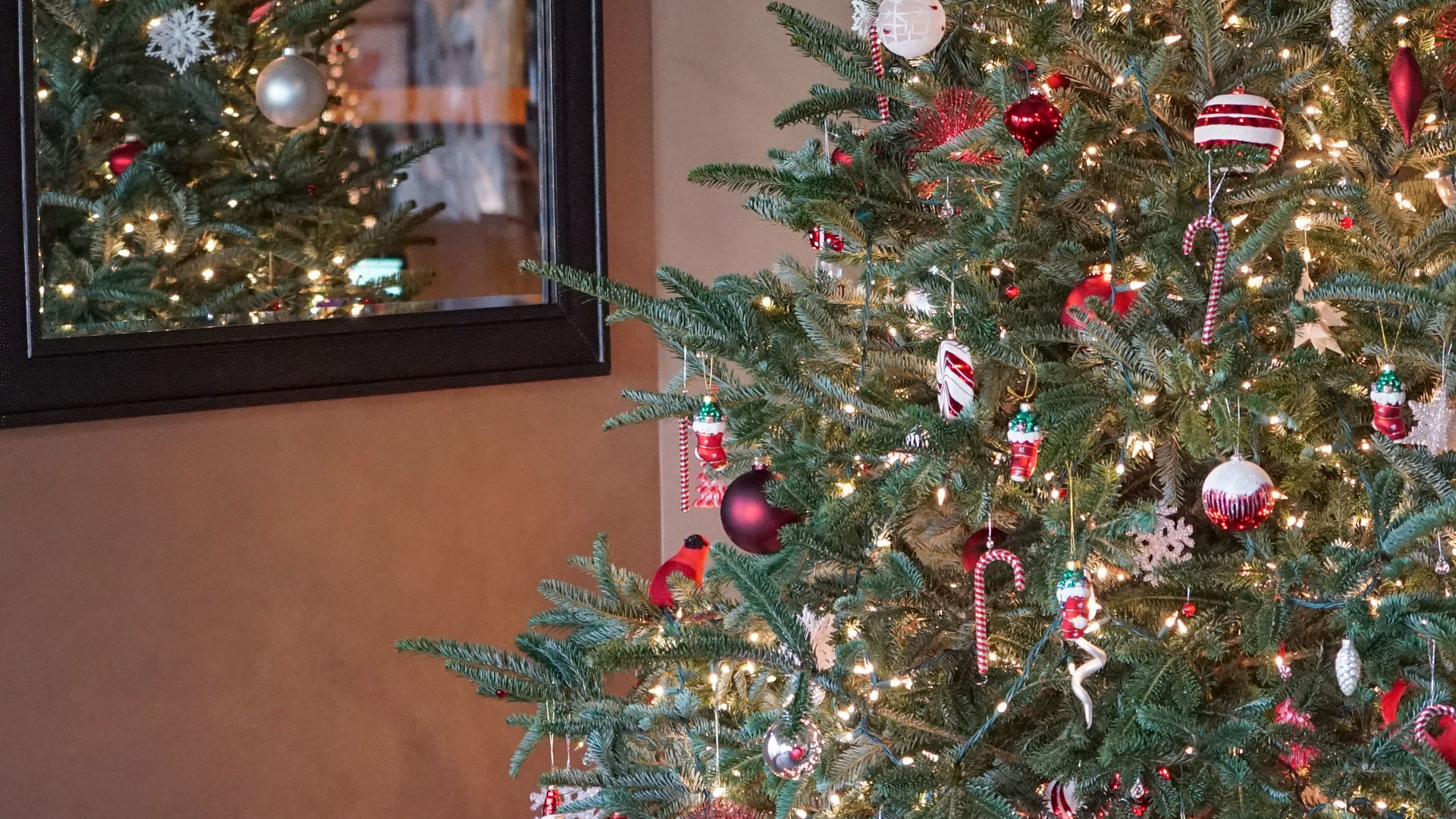 Letter from Jason – December 2023 - The Inn At Honey Run