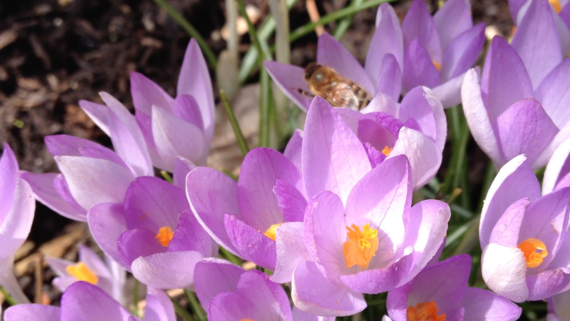Letter from Jason – May 2024 - The Inn At Honey Run