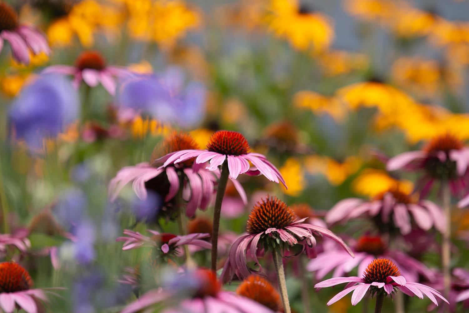 Letter from Jason – August 2024 - The Inn At Honey Run