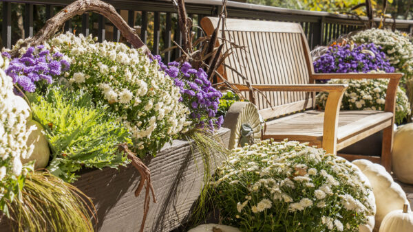 Letter from Jason – September 2024 - The Inn At Honey Run