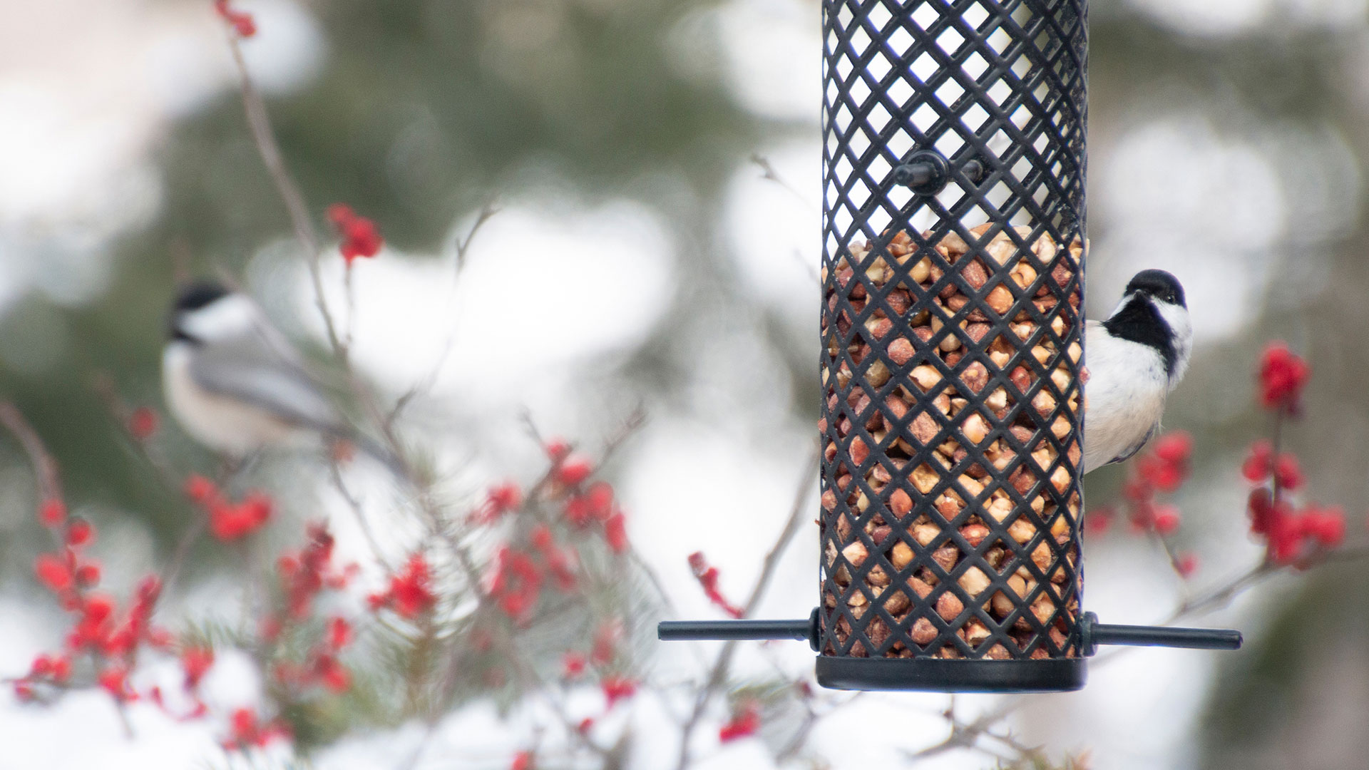 Letter from Jason – January 2025 - The Inn At Honey Run